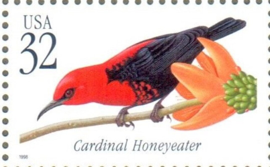 Vintage Unused Tropical Bird Cardinal Honeyeater Found in the Samoan ...