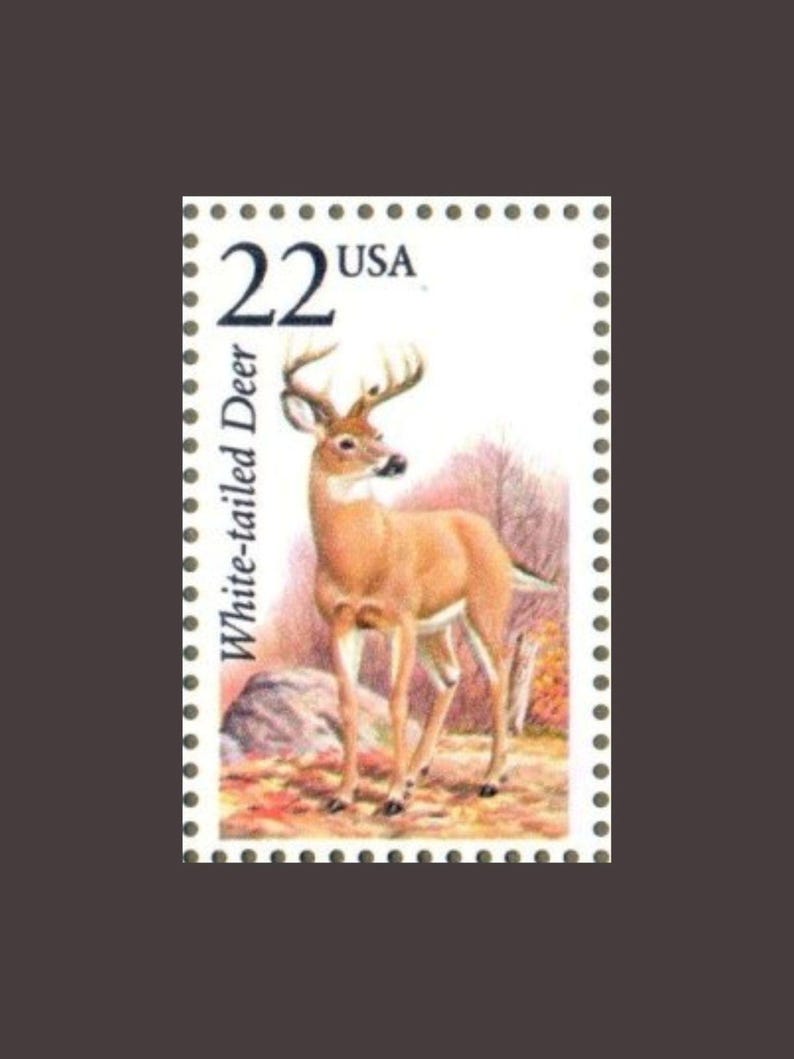 Vintage Unused White-tailed Deer North American Wildlife US Postage ...