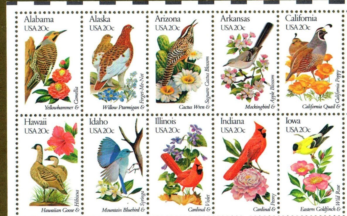 Vintage Unused State Birds and Flowers of 50 States US Postage Stamp ...