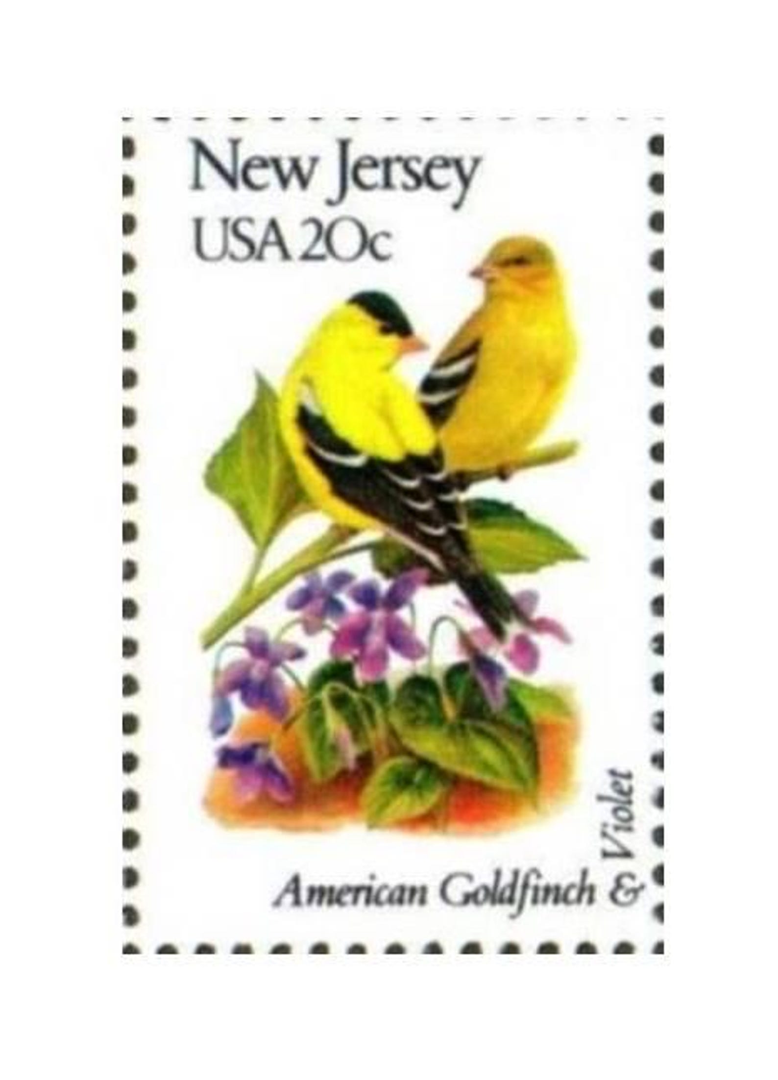 Vintage Unused New Jersey State Flower and Bird US Postage Stamps - 20 ...