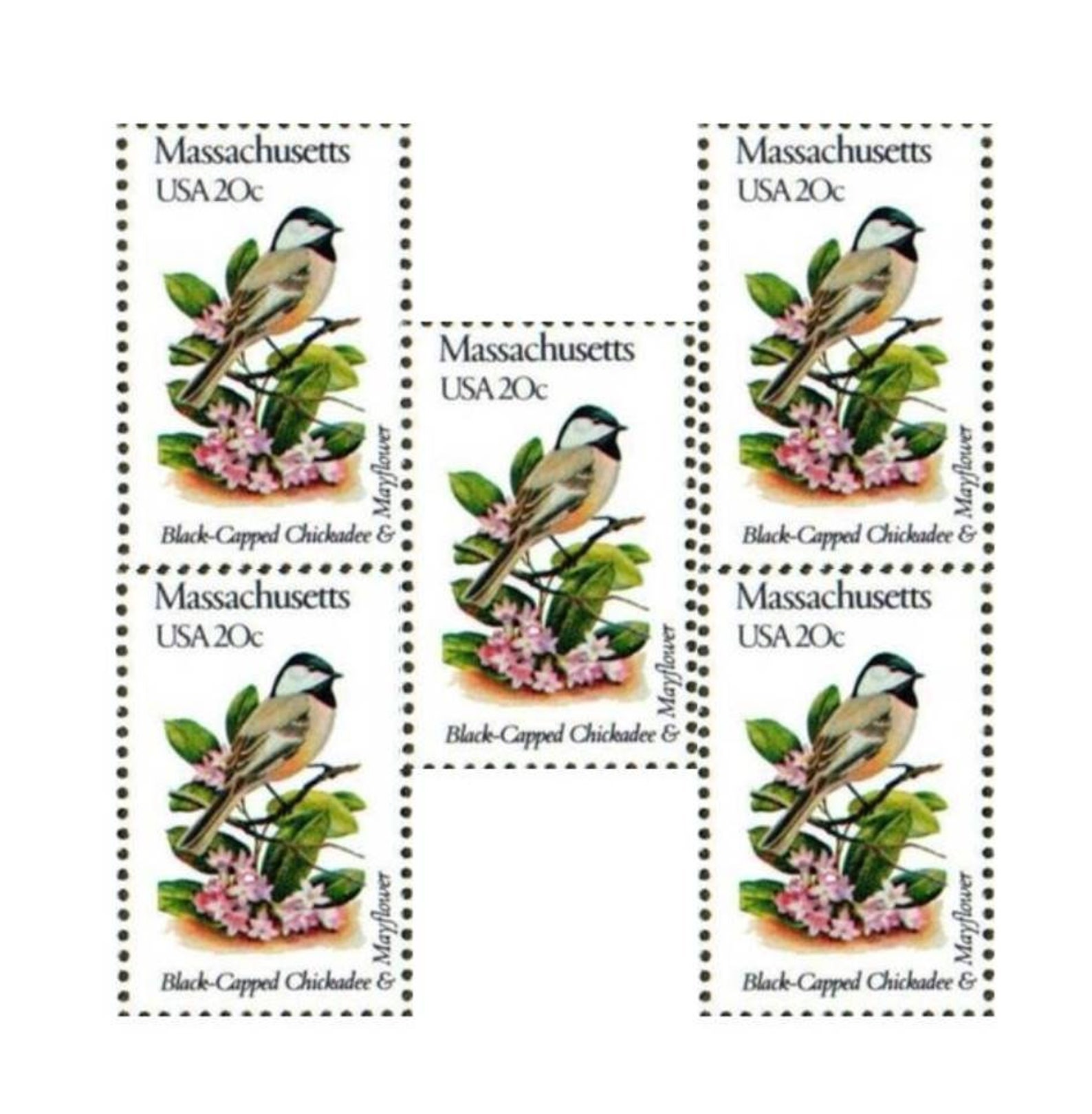 5 Unused Massachusetts State Flower and Bird US Postage Stamps - (5) 20 ...