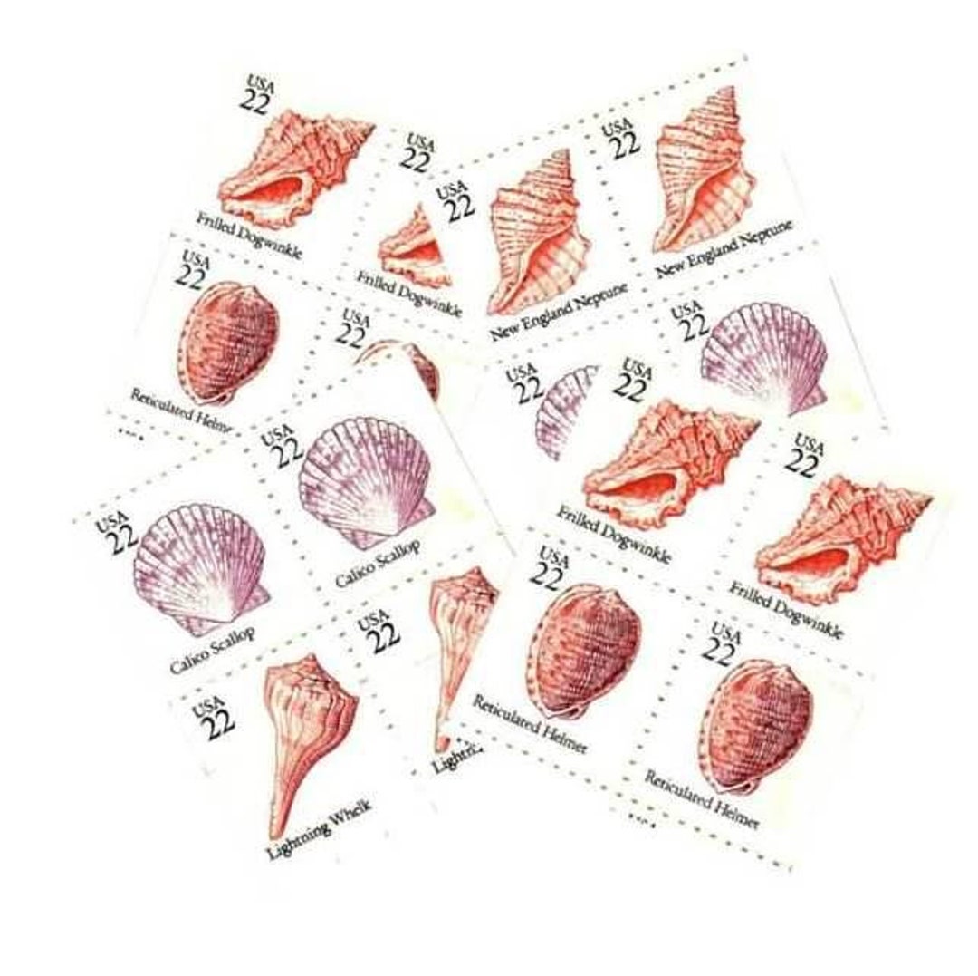 Vintage Unused Seashell Postage Stamps Beach Shell, Wedding Postage ...
