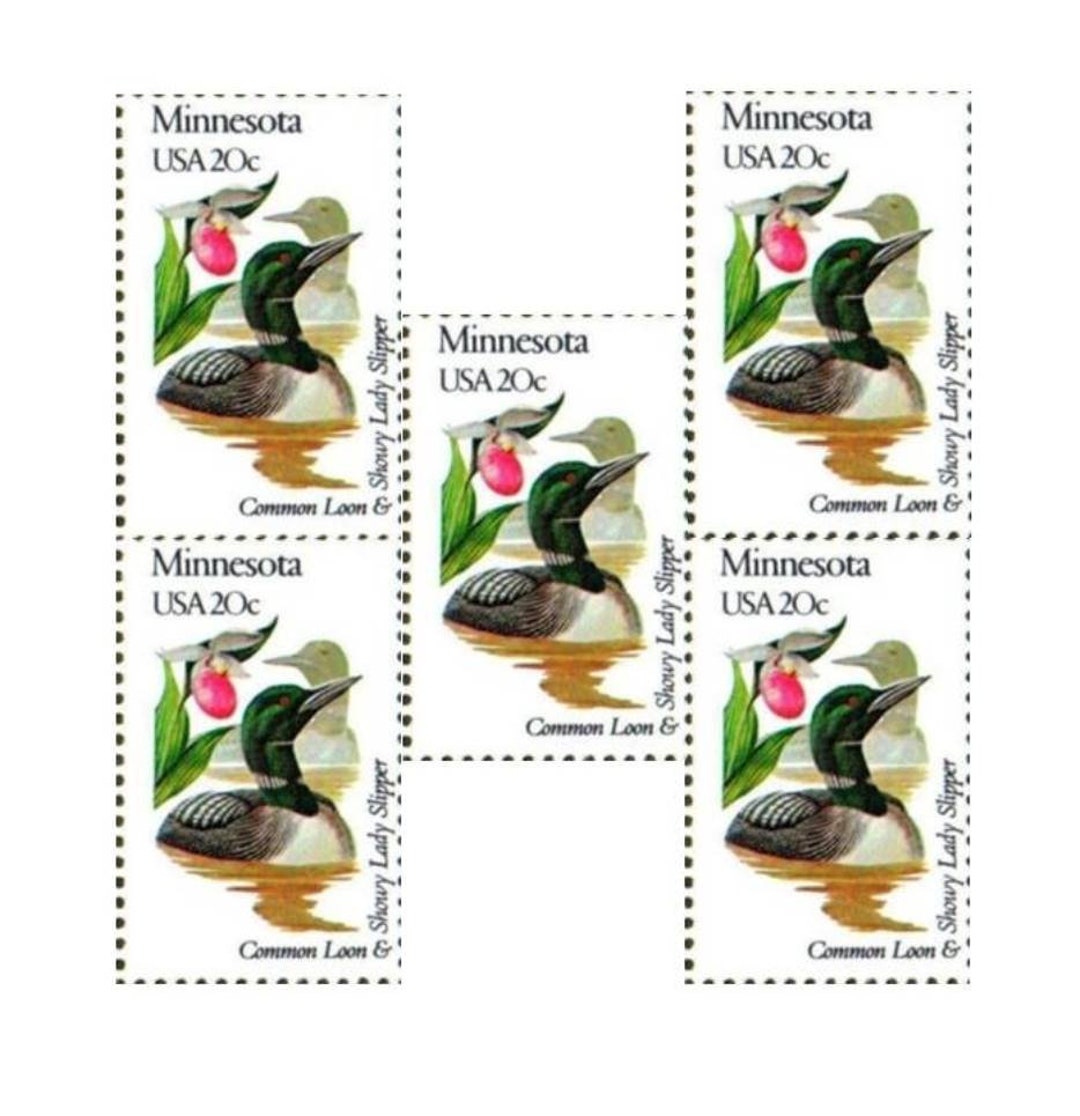 Vintage Unused Minnesota State Flower Lady Slipper and Bird Common Lune ...