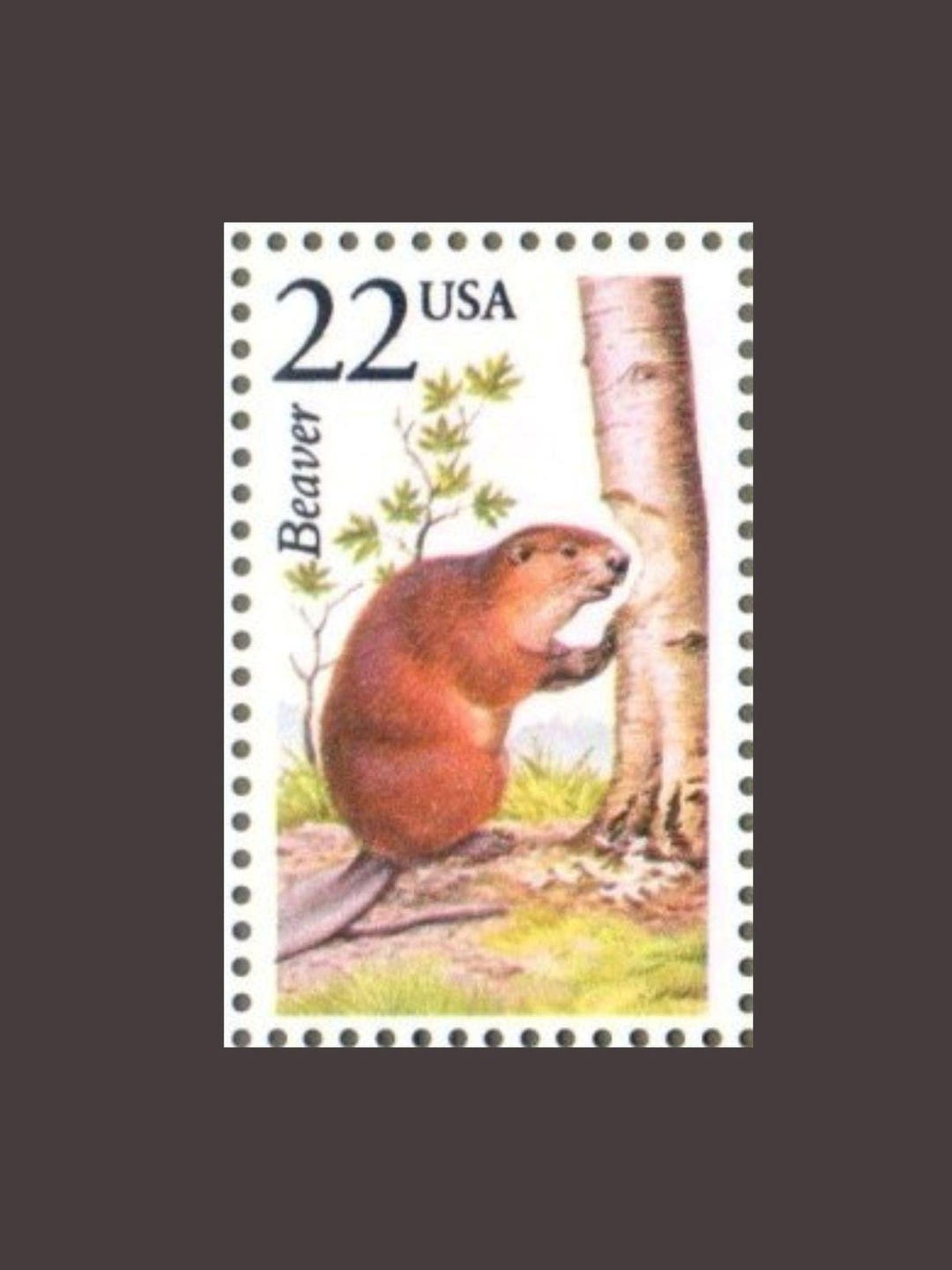 Vintage Unused Beaver North American Wildlife US Postage Stamp 22 Cent ...