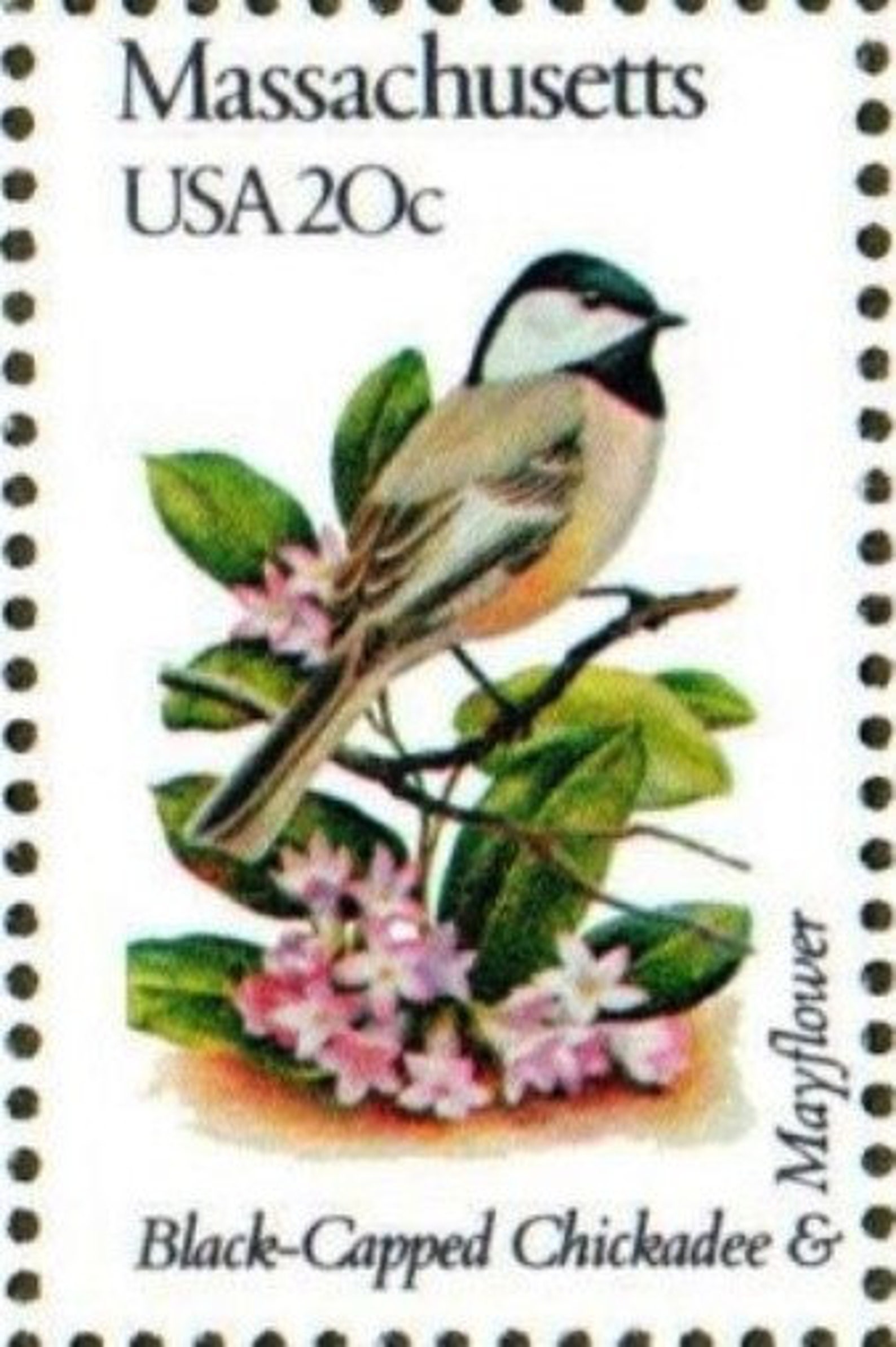 5 Unused Massachusetts State Flower and Bird US Postage Stamps - (5) 20 ...