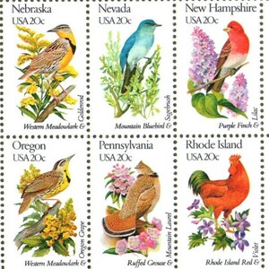 Vintage Unused State Birds and Flowers of 50 States US Postage Stamp ...