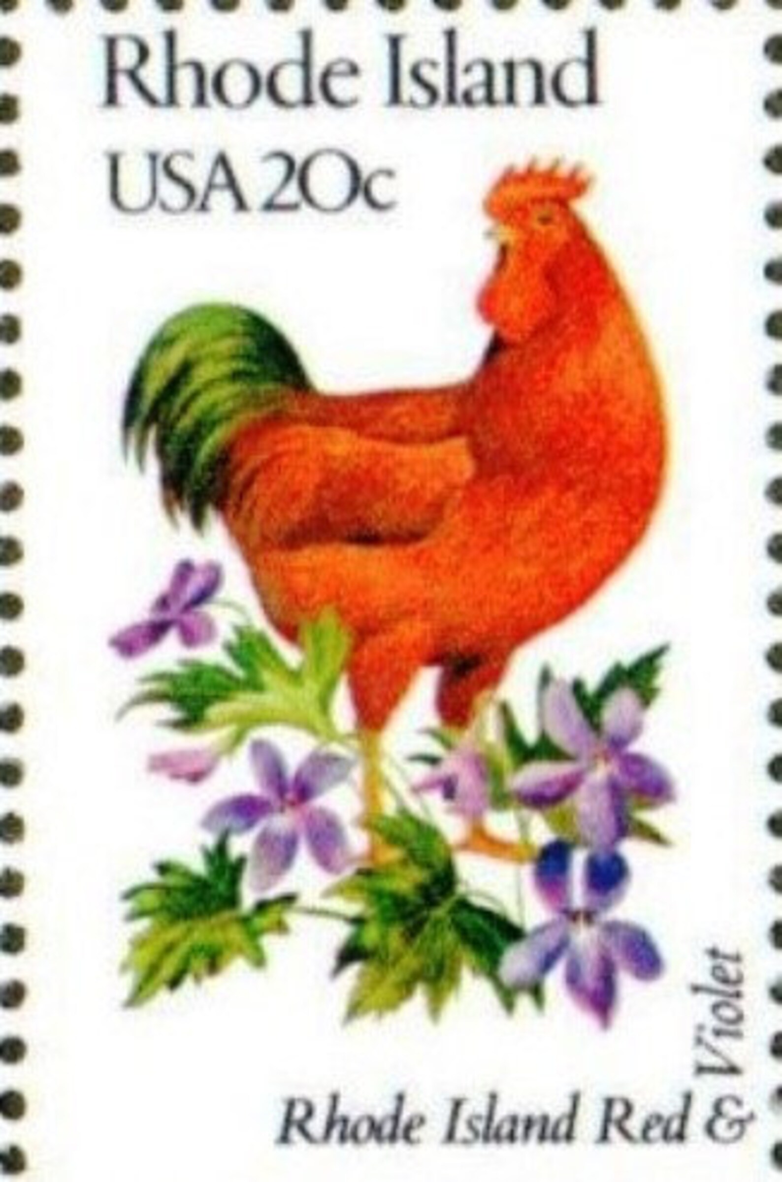 Vintage Unused Rhode Island State Flower and Bird 20 Cent US Postage ...