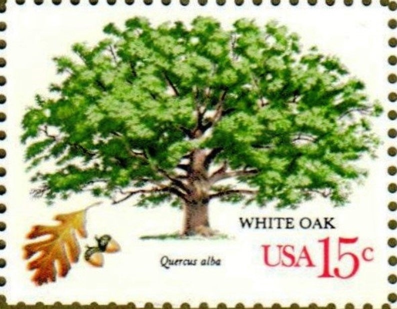 Vintage American Trees (1) Set of 4 Unused 15 Cent Stamps - White Oak ...