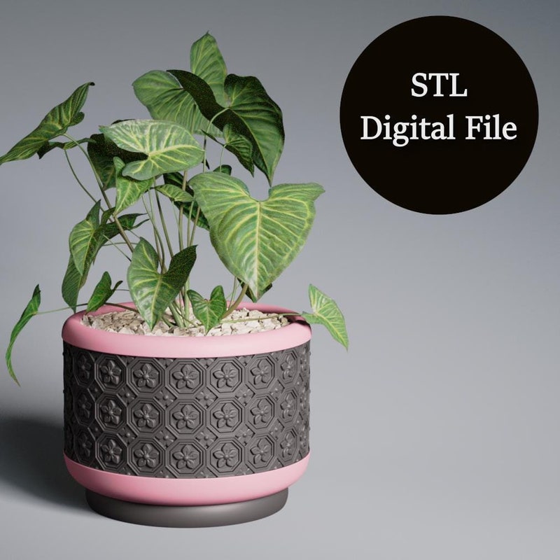 NaturalVectors - Etsy