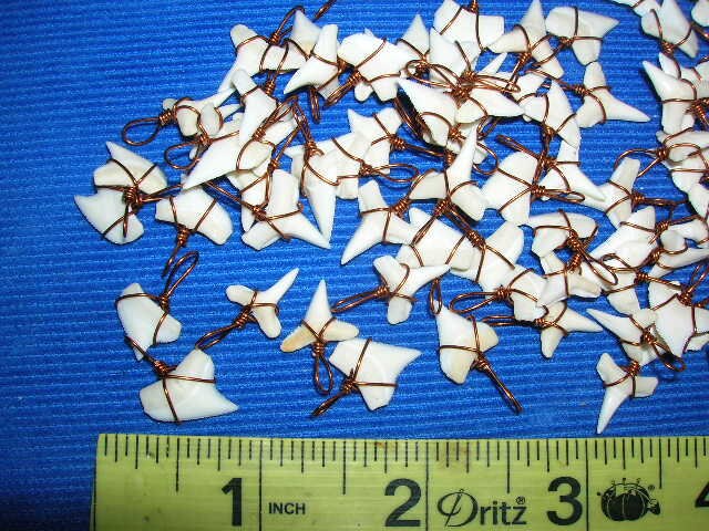 Set of 50 REAL SHARK Teeth With Copper Wire Loop/ Craft Crafts Art ...