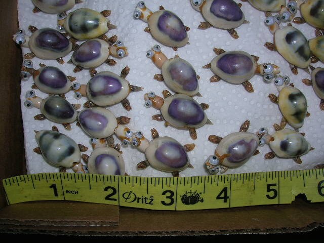 Set of 25 Seashell Turtles Made of Real Shells Craft Crafts Art Jewelry ...