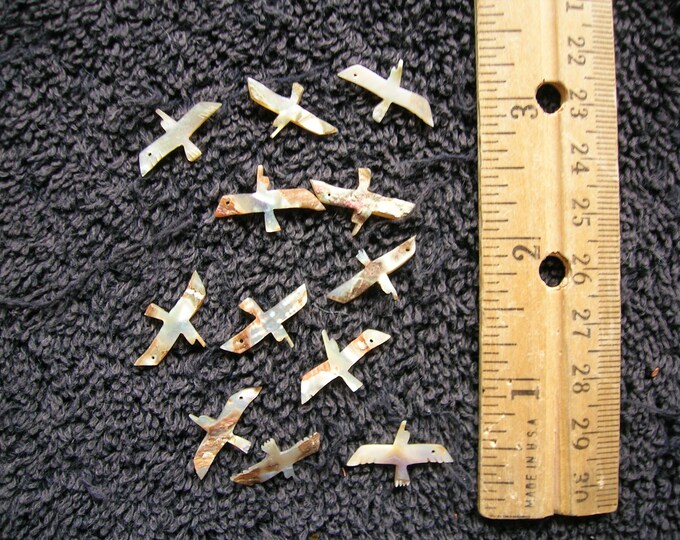 SET OF 12 Mother of Pearl Birds With Hole 3/4" Wide Shell Seashells ...