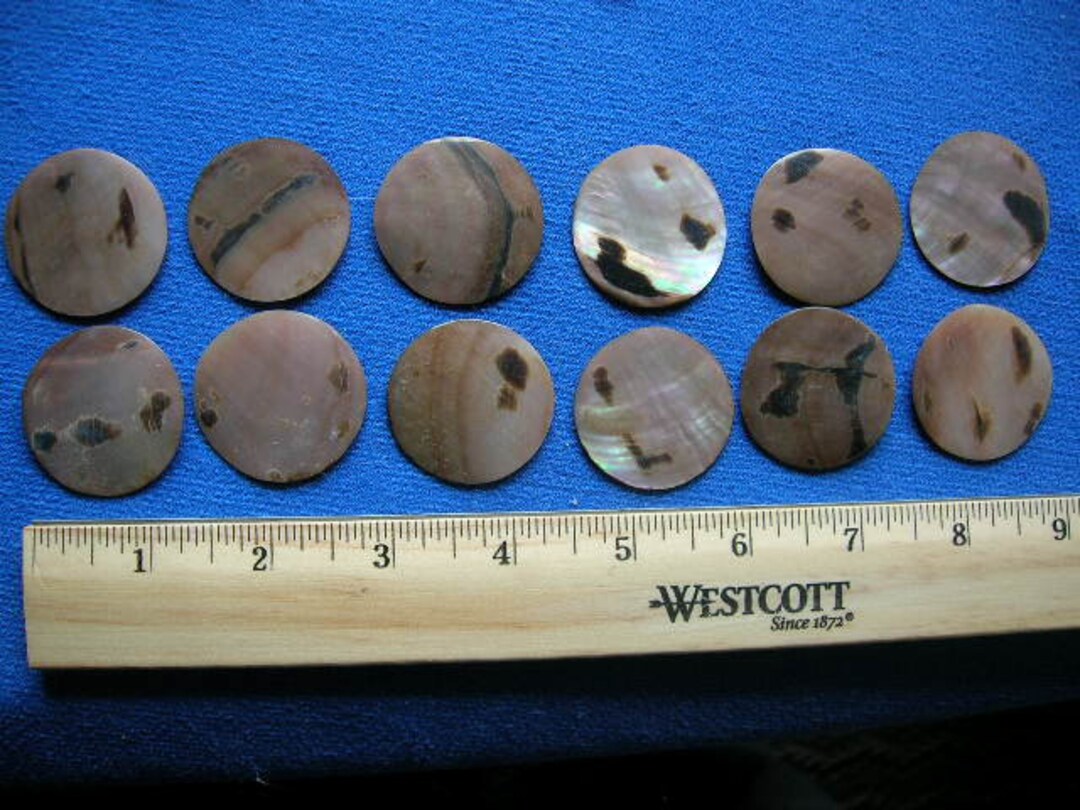 Set of 12 Polished Brown Oyster Shell Discs Mother of Pearl Pendants ...
