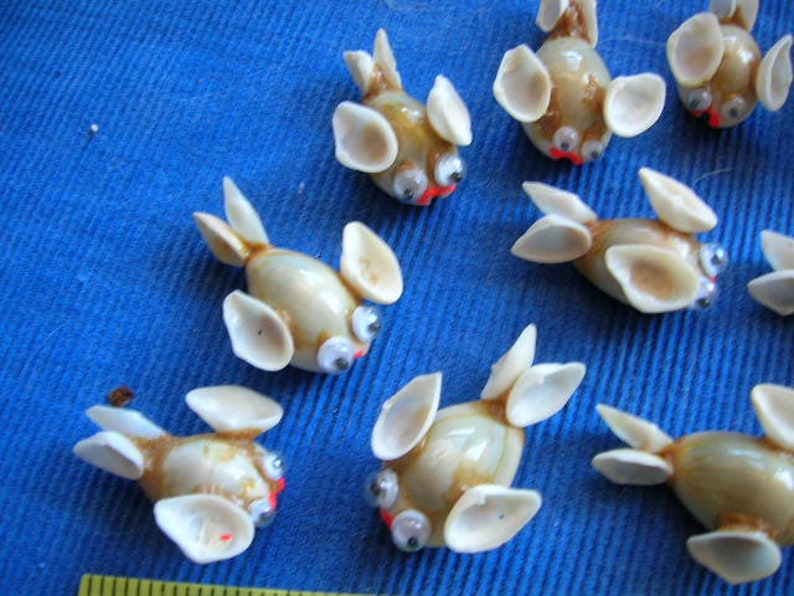 SET of 12 Seashell Figurines Fish Art Crafts Jewelry Doll House Shells ...