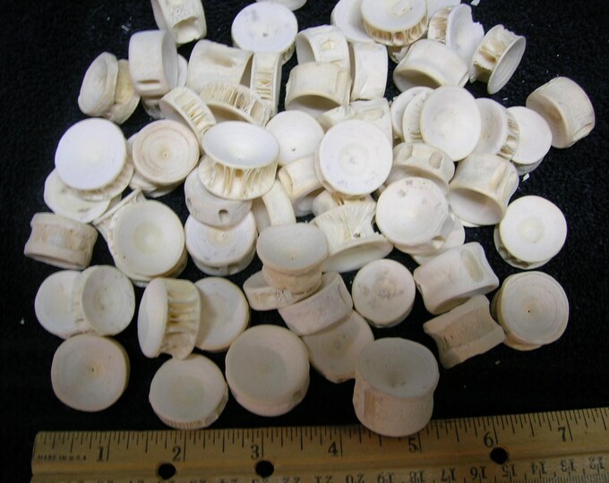 SET of 50 Real Shark Vertebrae Craft Pieces Art Jewelry Bead Beads ...