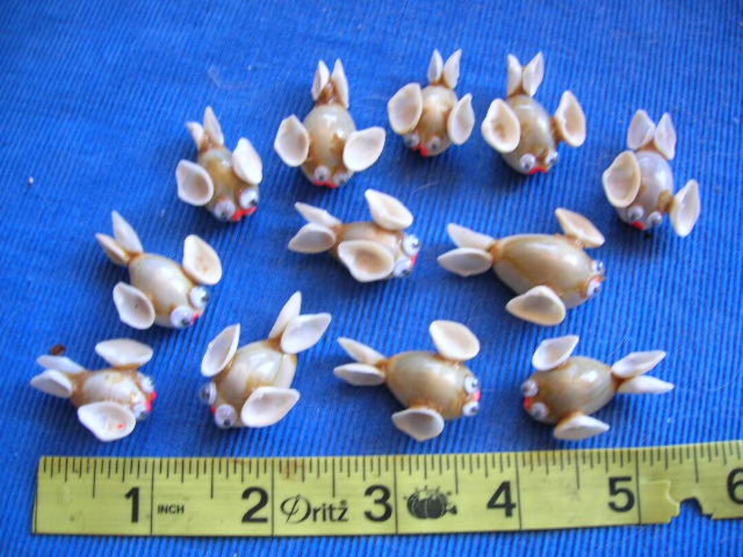 SET of 12 Seashell Figurines Fish Art Crafts Jewelry Doll House Shells ...