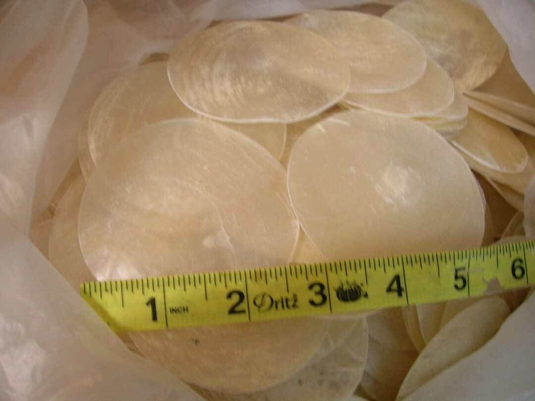 SET of 20 Real CAPIZ Shells Seashell Sea Ocean Craft Crafts 3" Across ...