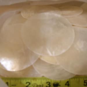 SET of 20 Real CAPIZ Shells Seashell Sea Ocean Craft Crafts 3" Across ...