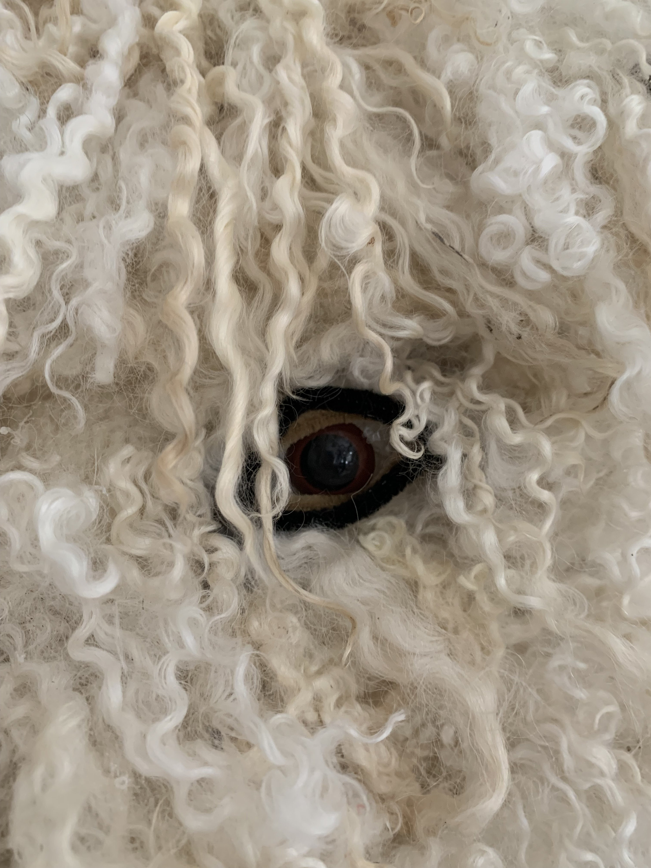 Highland Cow Leather Nose Bull Head, Hand Carved Horns Natural Sheep ...