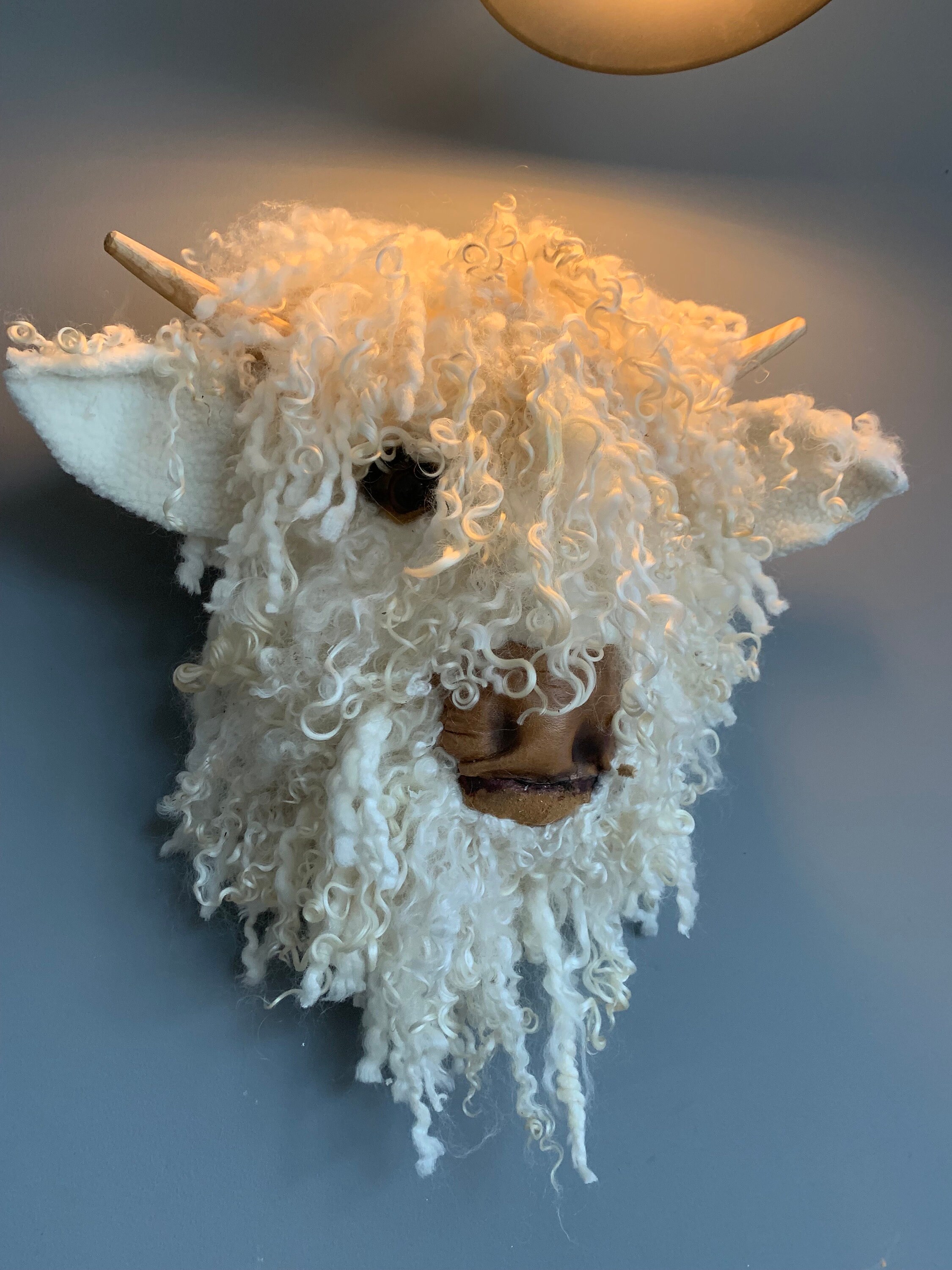 Baby Highland Cow Leather Nose Bull Head, Hand Carved Horns Natural ...