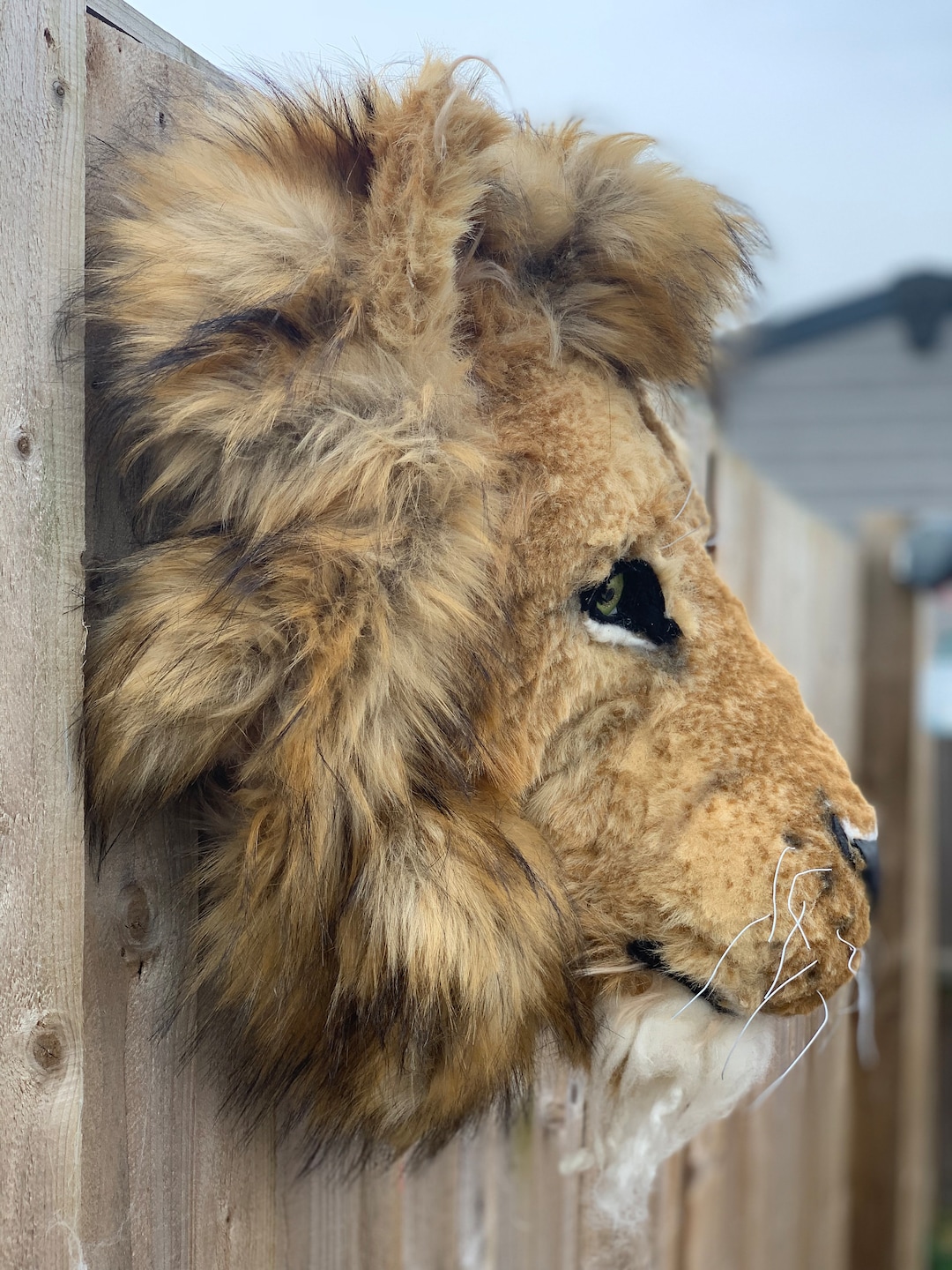 Lovely Handmade Lion Head Give Any Room the WOW Factor He is All Hand ...