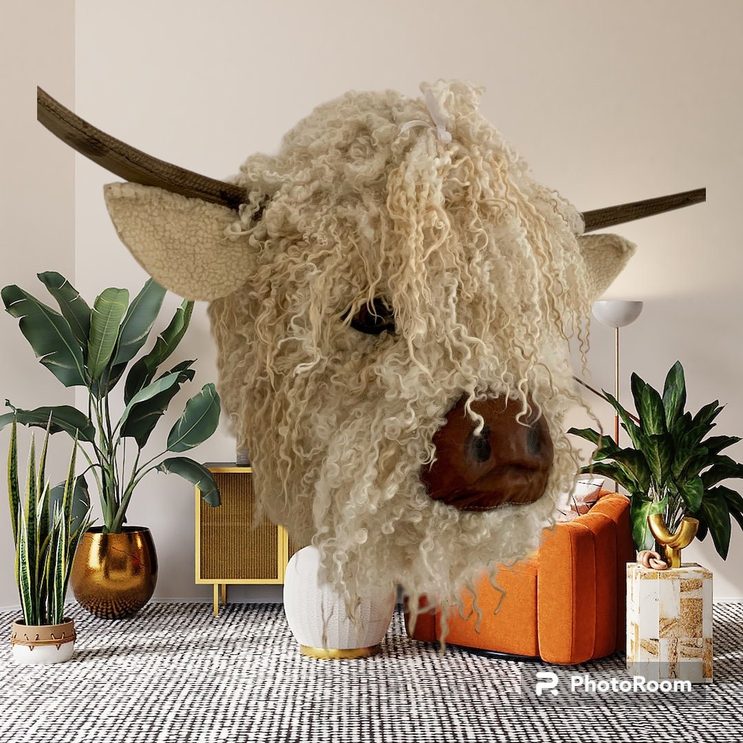 Highland Cow Leather Nose Bull Head, Hand Carved Horns Natural Sheep ...