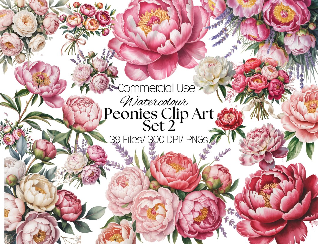 39 Peonies Watercolor Clipart Set 2 - MSHIHEART - Etsy