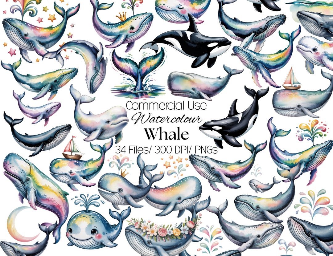 34 Whale Clipart PNG, Watercolor Ocean Animals, Whale, Orca, Sea Life ...