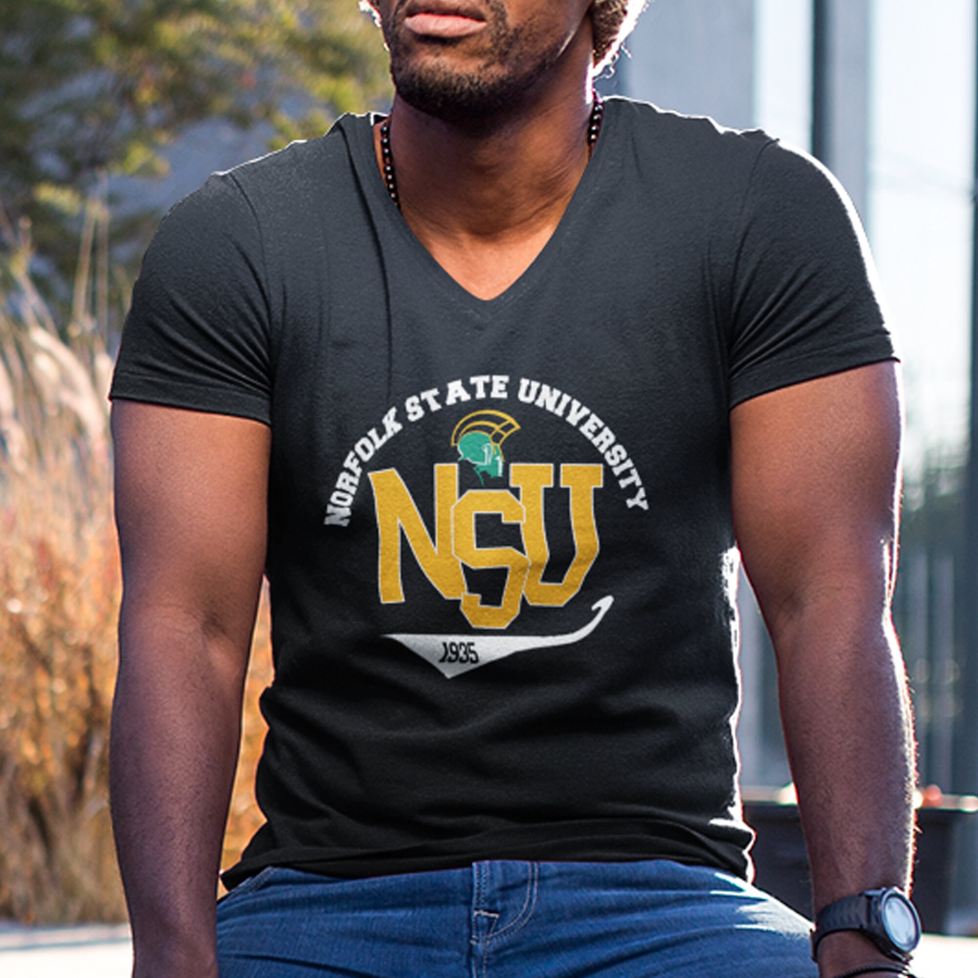 Norfolk State Classic Ed. (v-neck) - Norfolk Spartans Homecoming, Retro ...