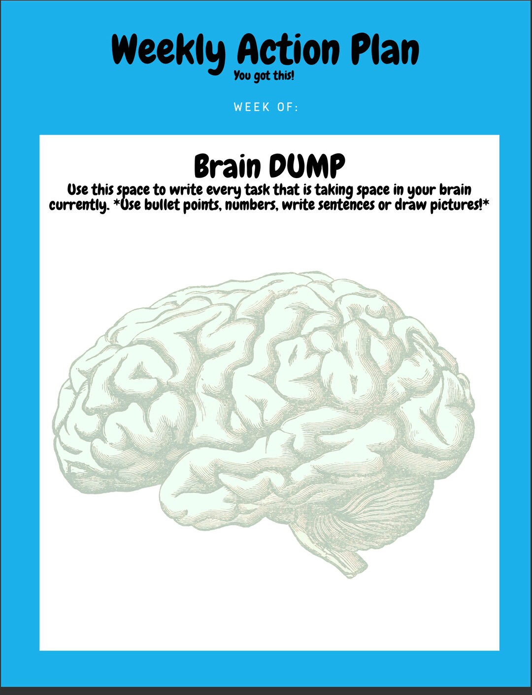 Brain Dump, Prioritize and Time Block Work Sheets Perfect for Those ...