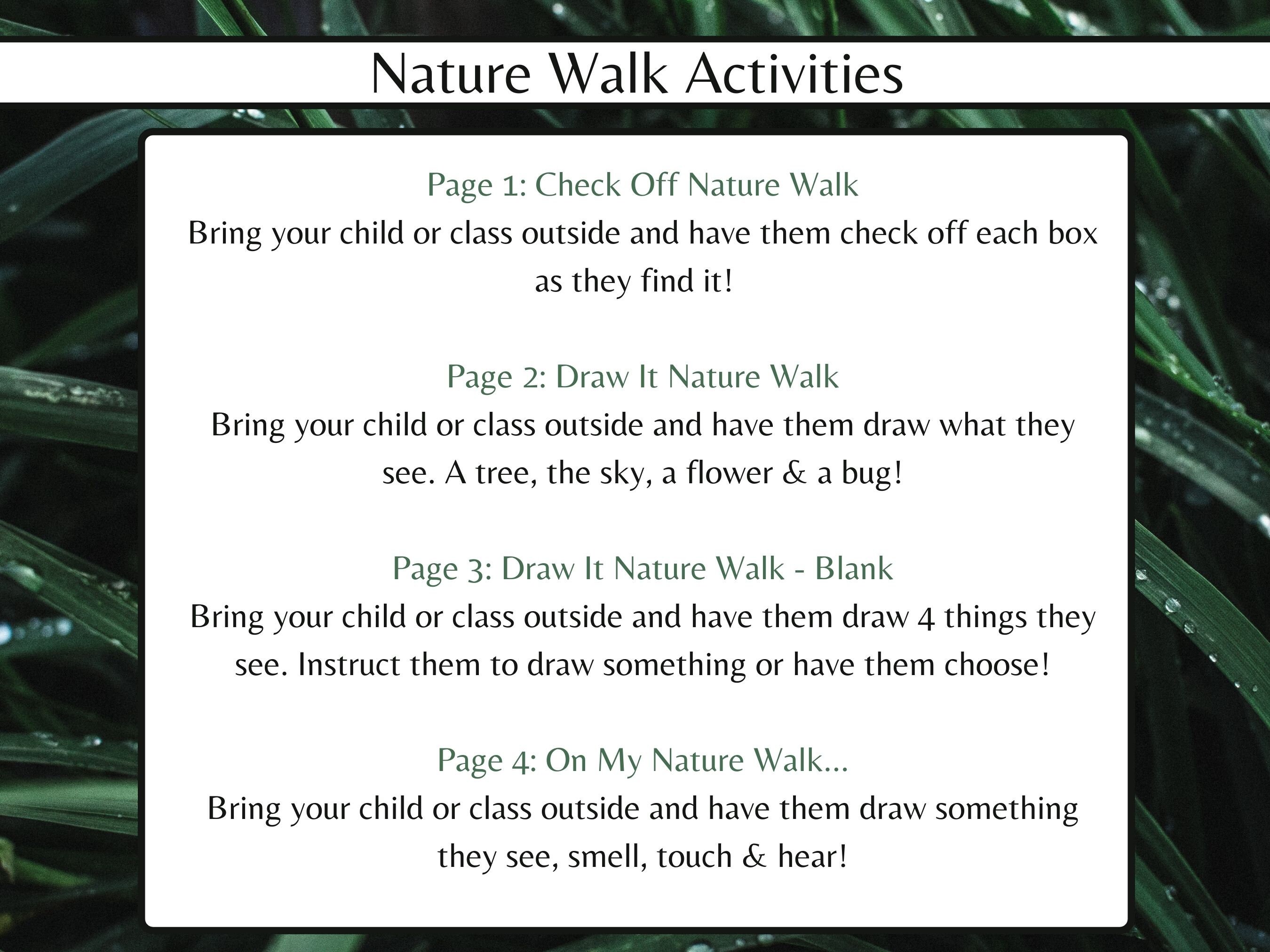 Spring Nature Walk Printable, Nature Walk Instant Download, Scavenger ...