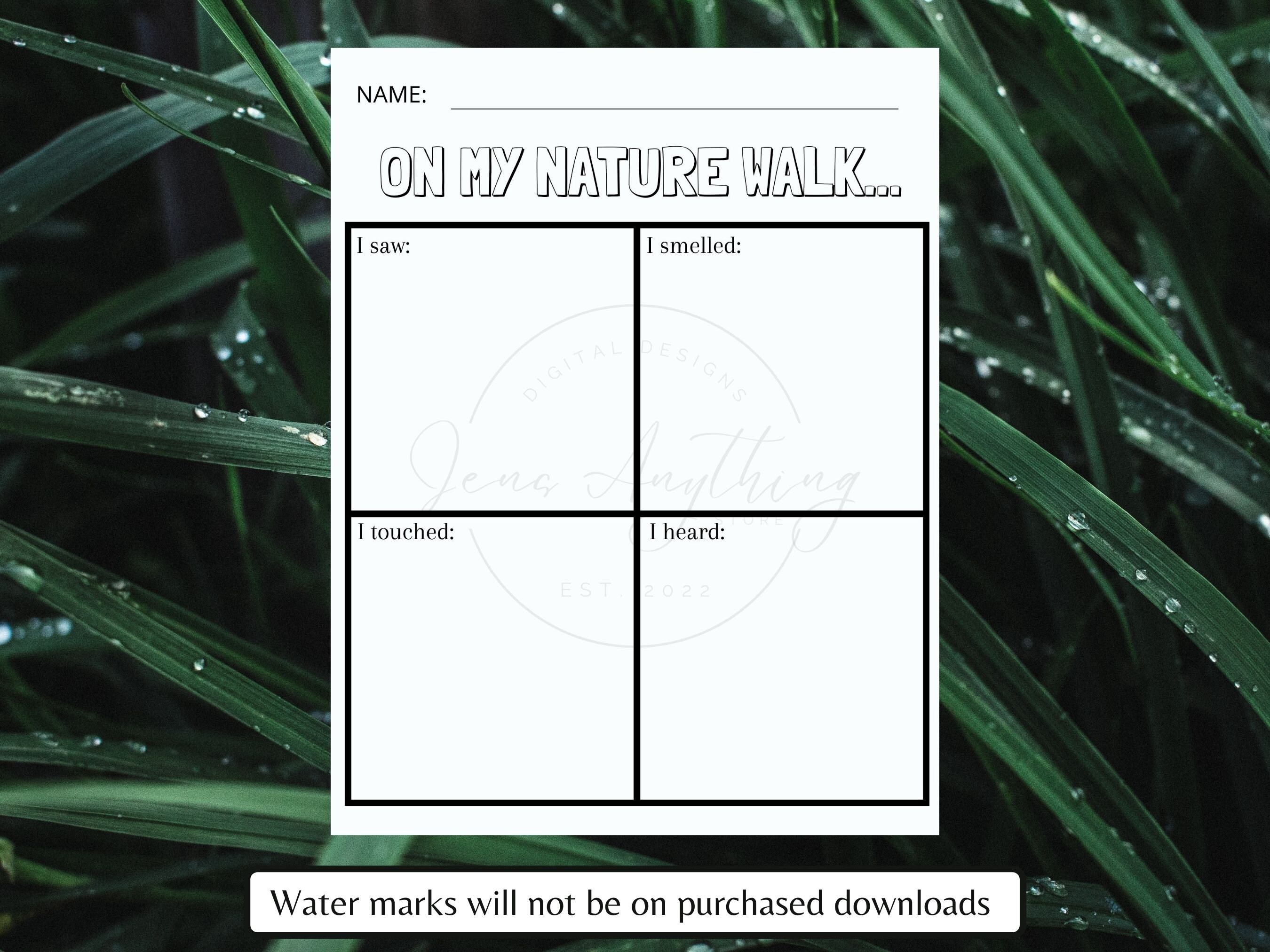 Spring Nature Walk Printable, Nature Walk Instant Download, Scavenger ...