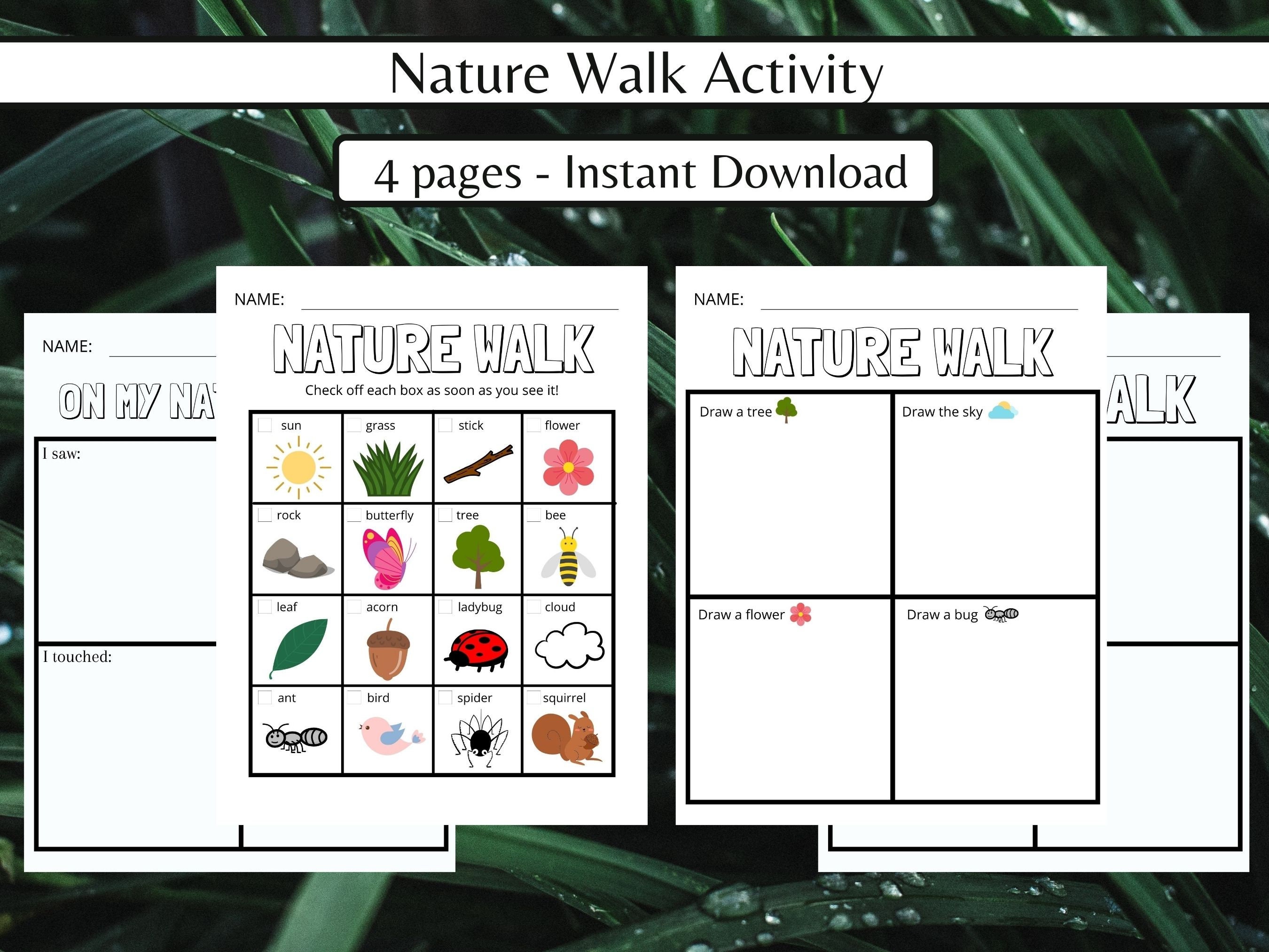 Spring Nature Walk Printable, Nature Walk Instant Download, Scavenger ...