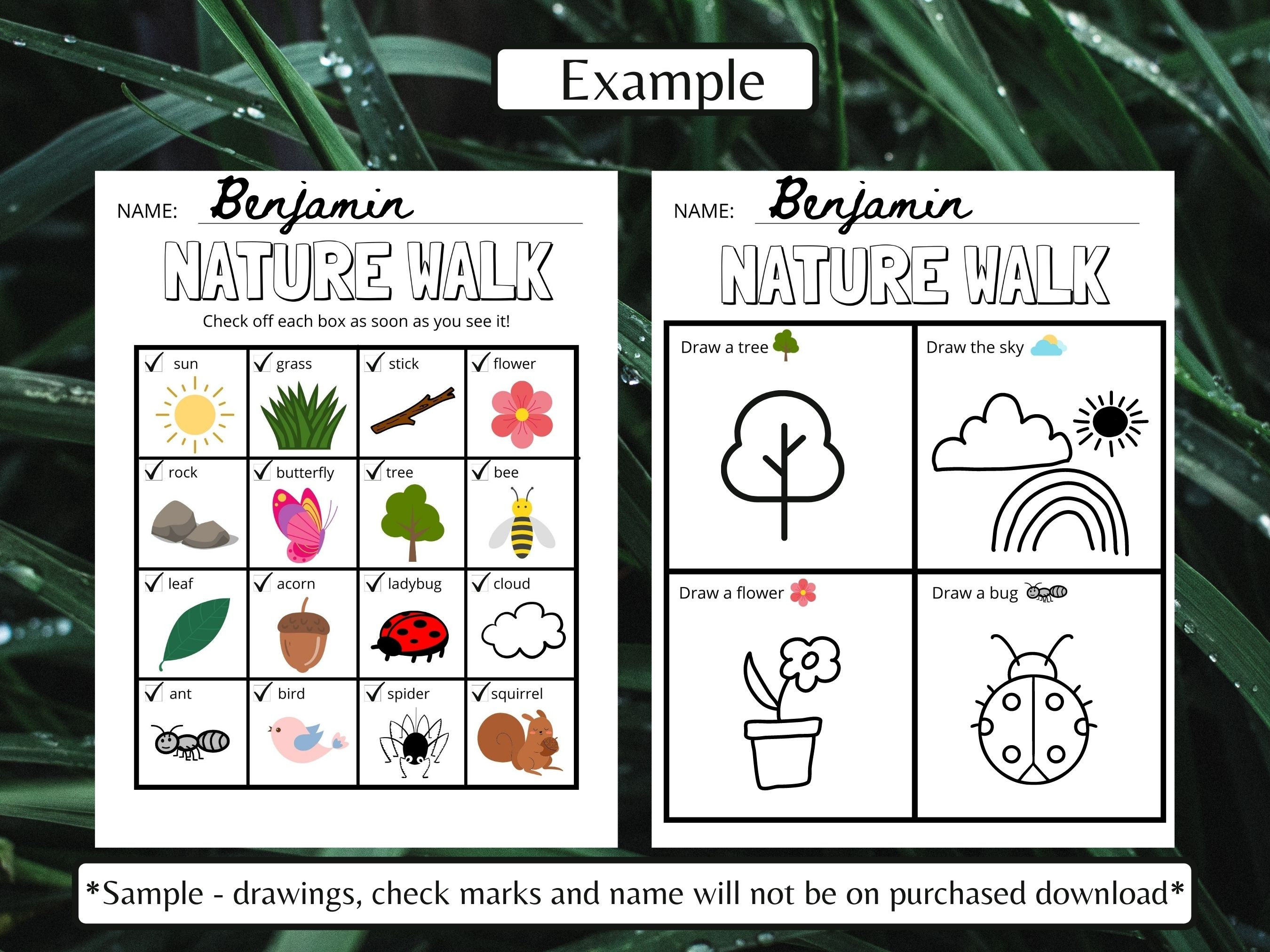 Spring Nature Walk Printable, Nature Walk Instant Download, Scavenger ...