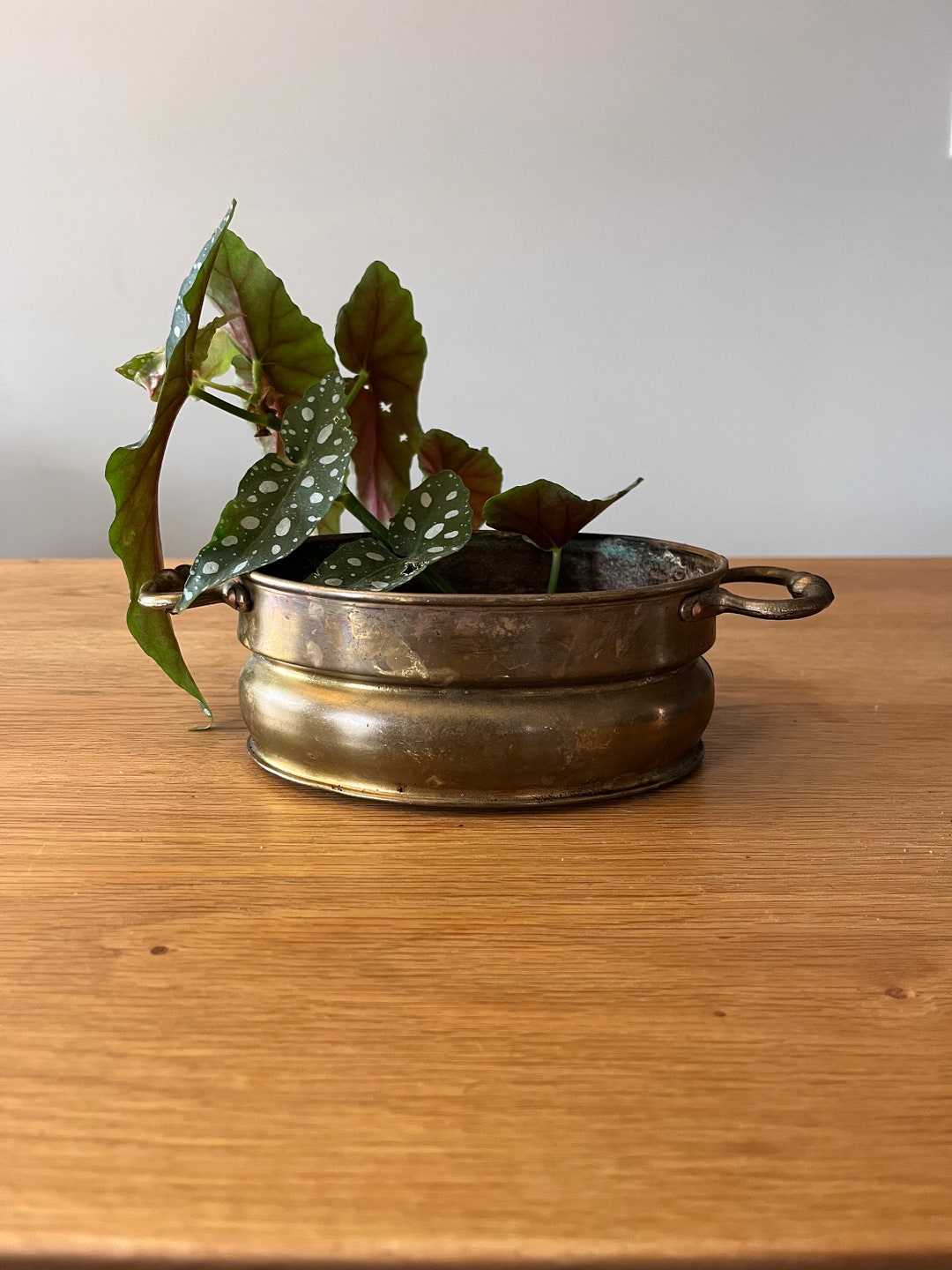 Vintage Solid Brass Oblong Planter With Handles / Oval Brass Cactus ...