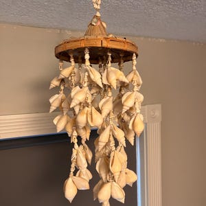 Vintage 1970s Shell Chandelier - Conch Shell Wind Chime - Bamboo Canopy ...