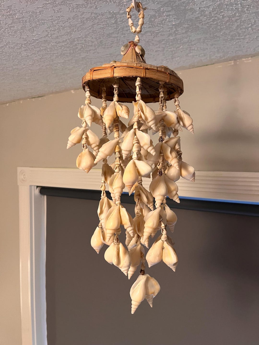 Vintage 1970s Shell Chandelier - Conch Shell Wind Chime - Bamboo Canopy ...