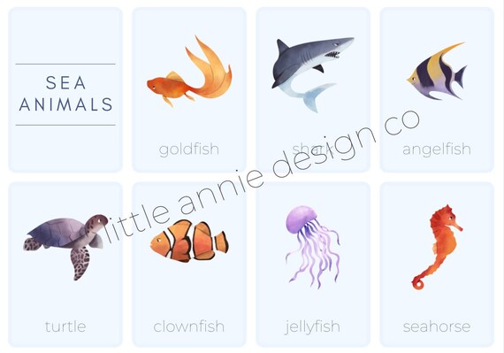 Sea Animal Flashcards Digital File | Etsy