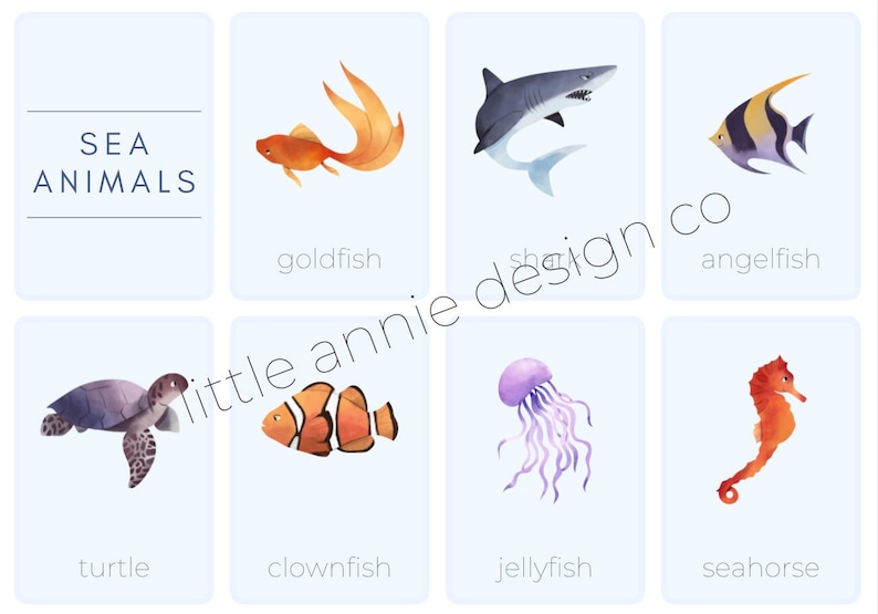 Sea Animal Flashcards Digital File - Etsy