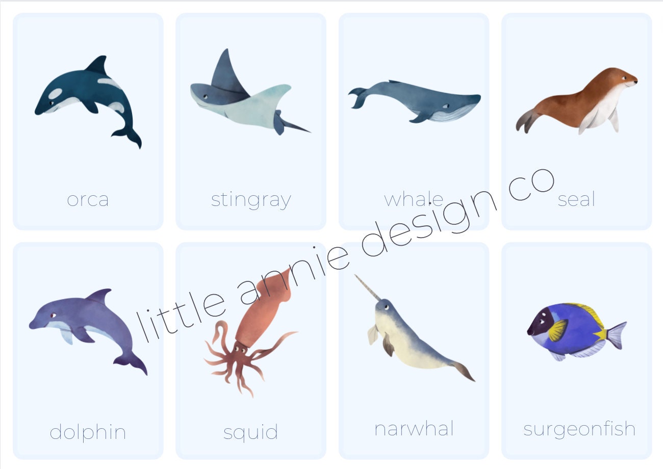 Sea Animal Flashcards Digital File - Etsy