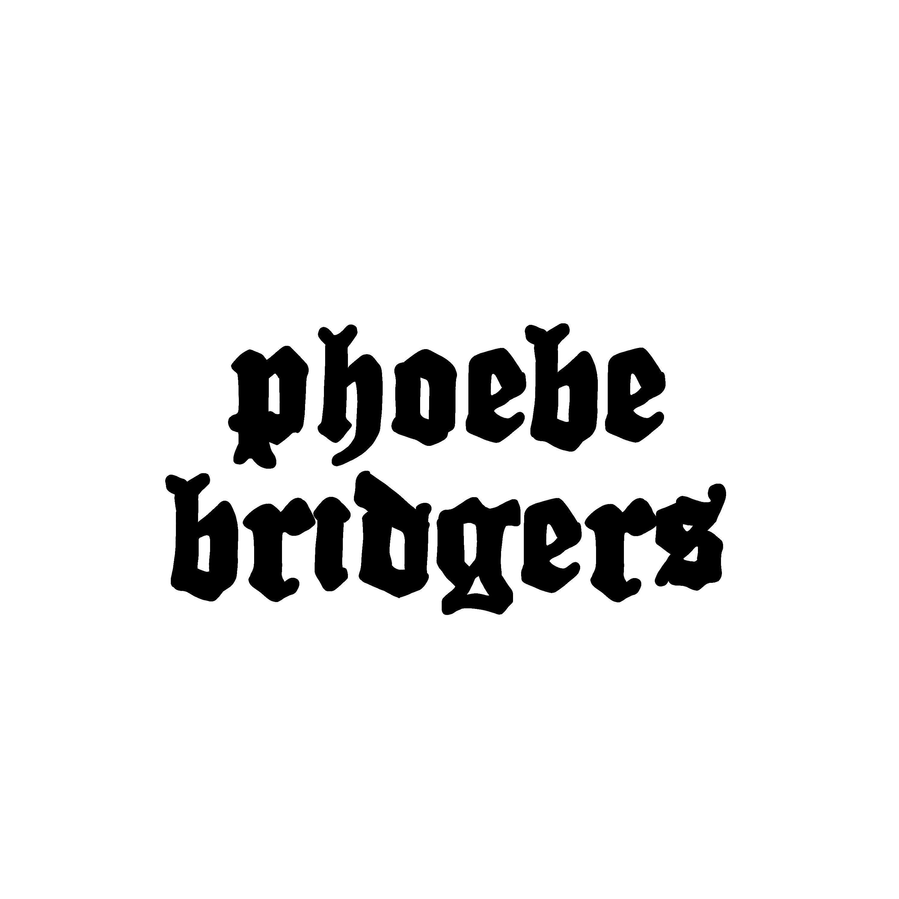 Phoebe Bridgers Logo Vinyl Decal Sticker - Etsy Canada