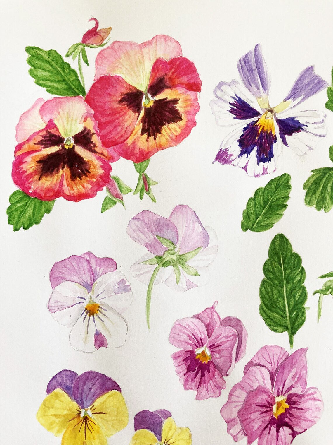 Watercolour Pansies Art Print | A5/ A4/ A3 | Pansy | Wall Art ...