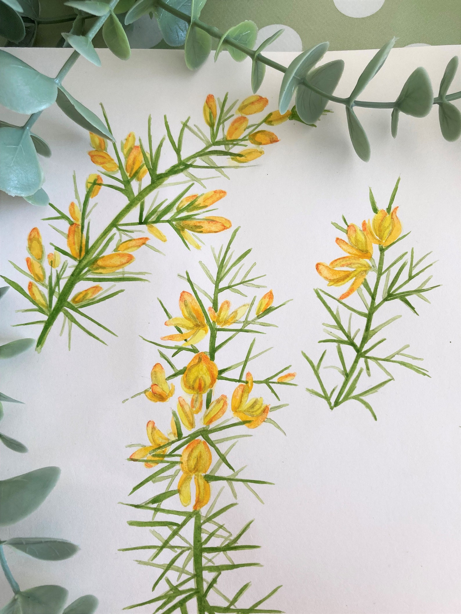 Watercolour Birds Goldfinches in Gorse Bush Art Print A4 - Etsy