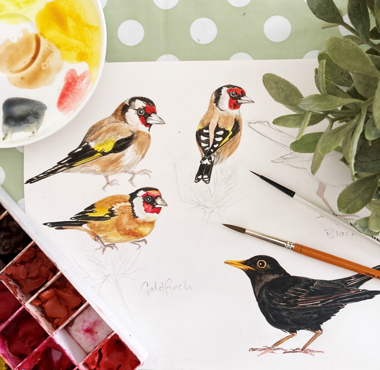 Watercolour Birds Goldfinches in Gorse Bush Art Print A5/A4/A3 Wall Art ...