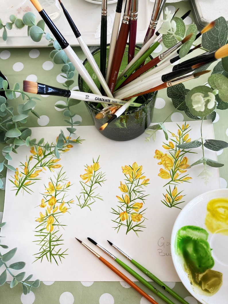 Watercolour Birds Goldfinches in Gorse Bush Art Print A4 - Etsy