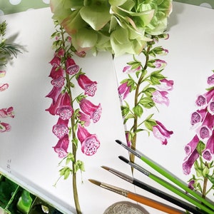 Watercolour Pink Foxgloves | Digitalis | Art Print A5/ A4/ A3| Wall Art ...