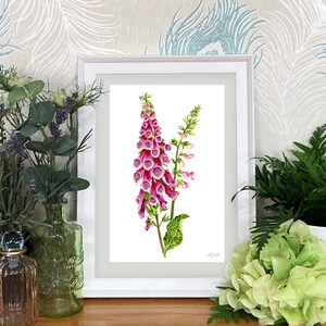 Watercolour Pink Foxgloves | Digitalis | Art Print A5/ A4/ A3| Wall Art ...