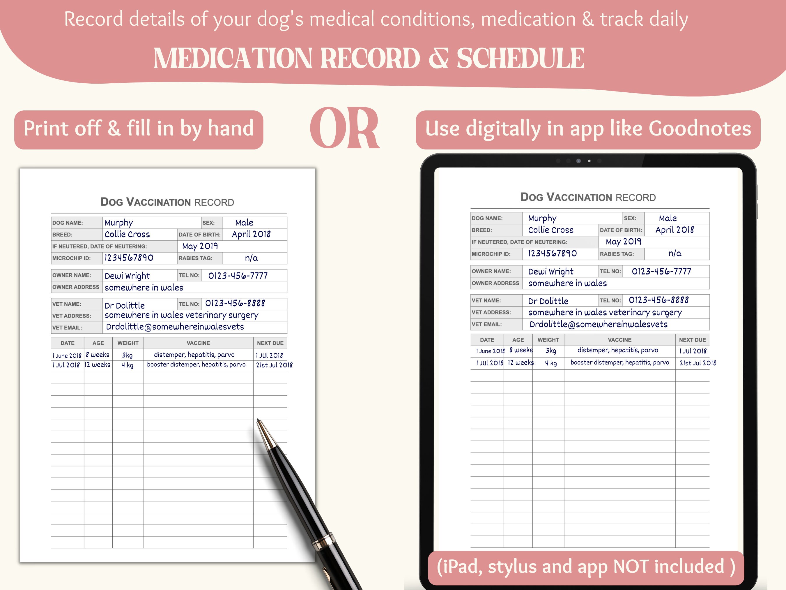 Dog Shot Record, Puppy Shot Record, Puppy Vaccination, Puppy Records ...