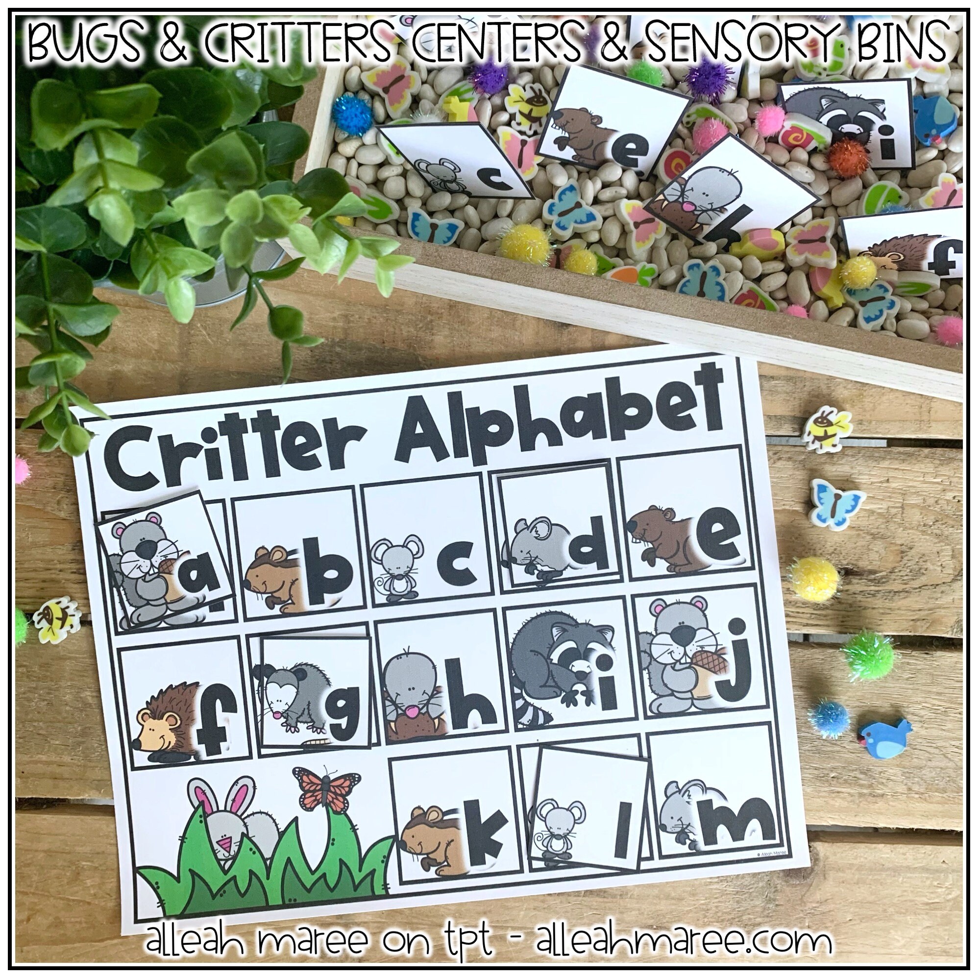 Bugs and Critters Centers and Sensory Bins for Toddlers and ...