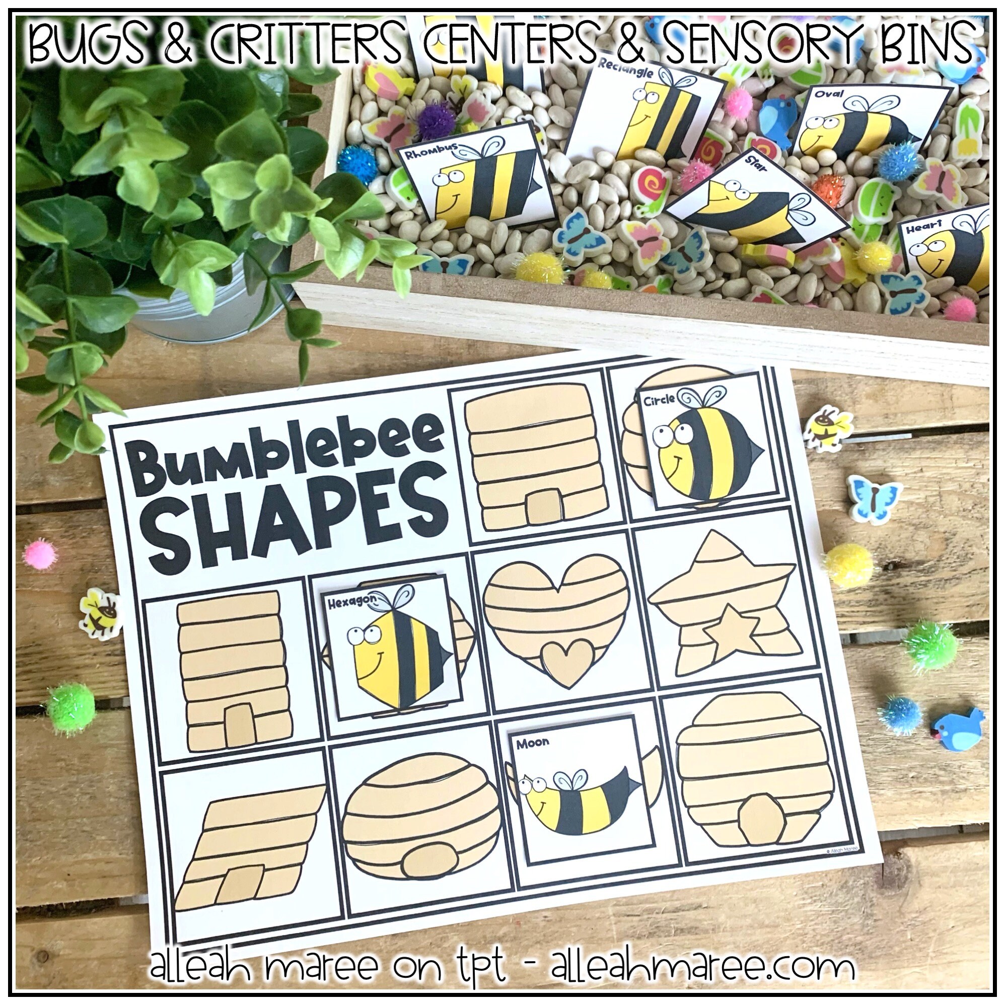 Sensory Bin Activities About Bugs and Critters - Toddler Preschool ...